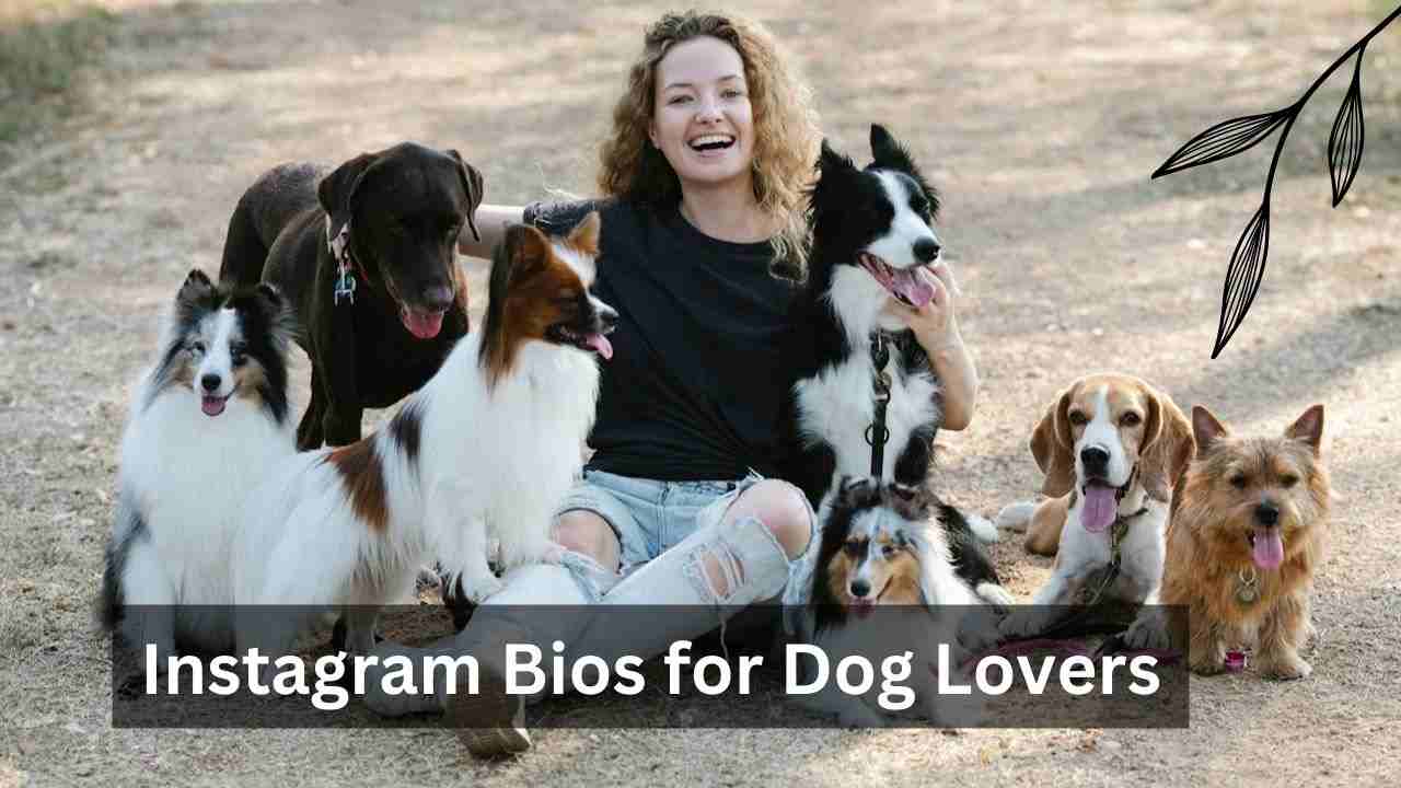 Instagram Bios for Dog Lovers in English and Hindi | Catchy Bio Ideas ...