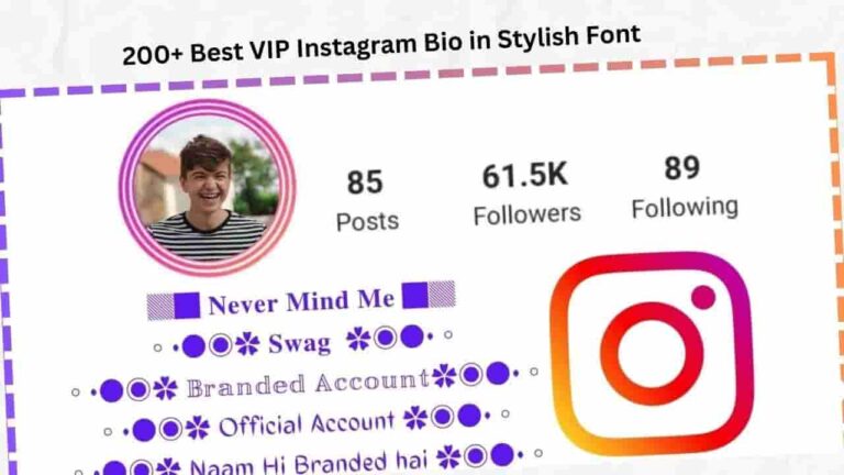 200+ Best VIP Instagram Bio in Stylish Font - Insta Bio MSG